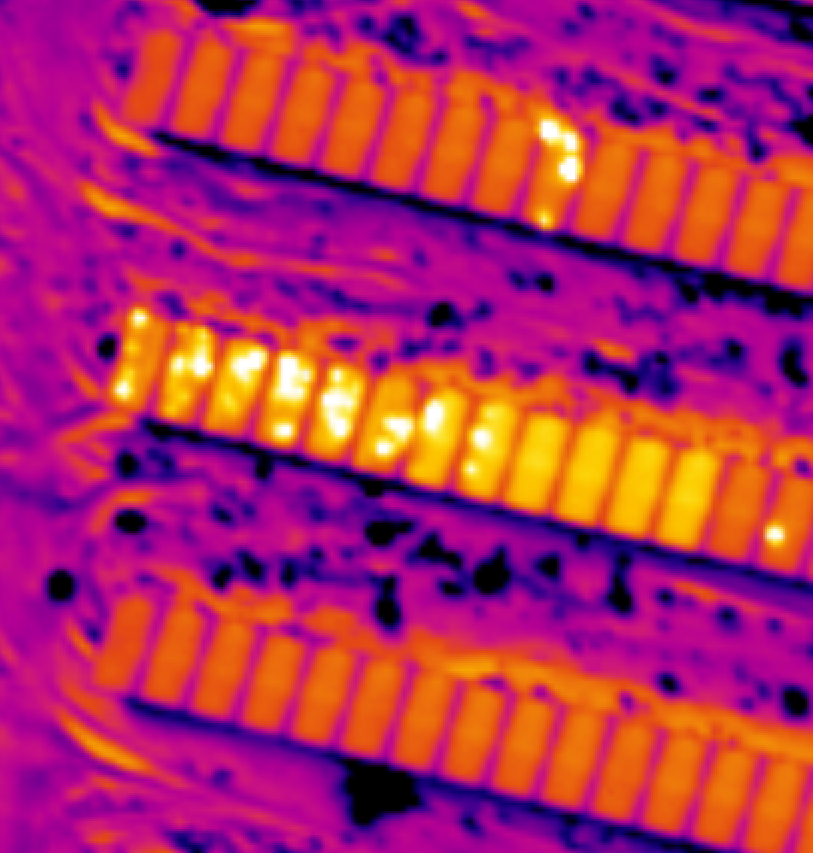 What causes PID? – pv magazine USA