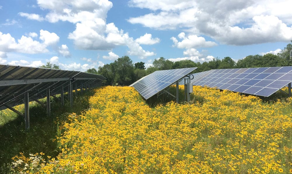 Community solar for a dime in Minnesota – pv magazine USA