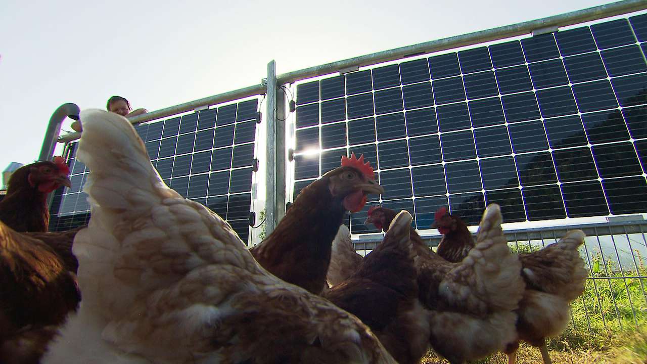 Solar power’s great land use responsibility – pv magazine USA