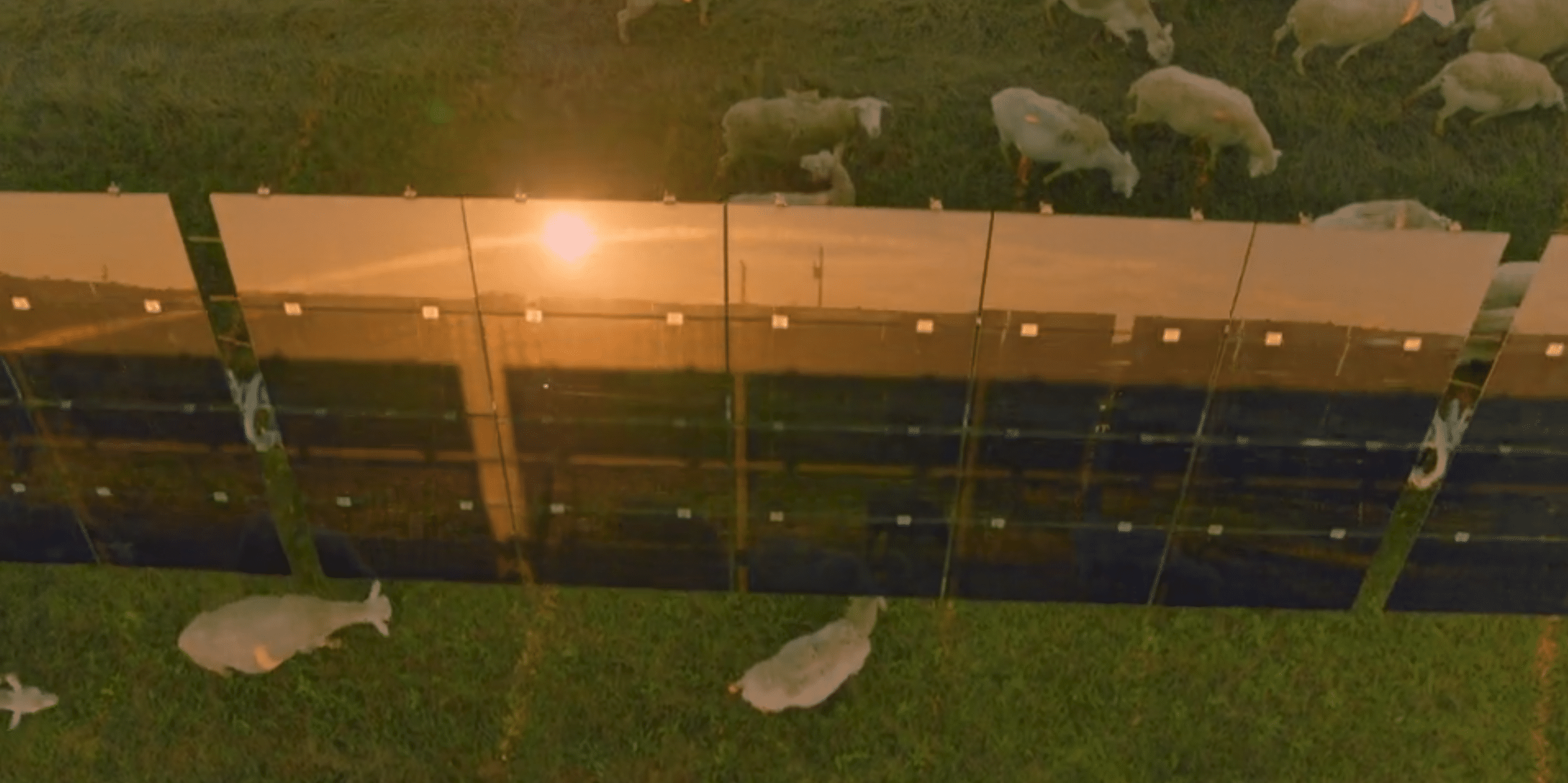 Solar power’s great land use responsibility – pv magazine USA