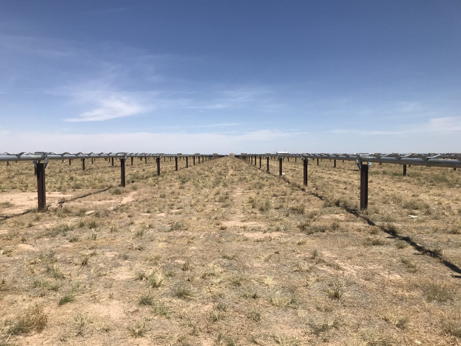 Boosting bifacial panel efficiency with albedo ground covers: Field ...