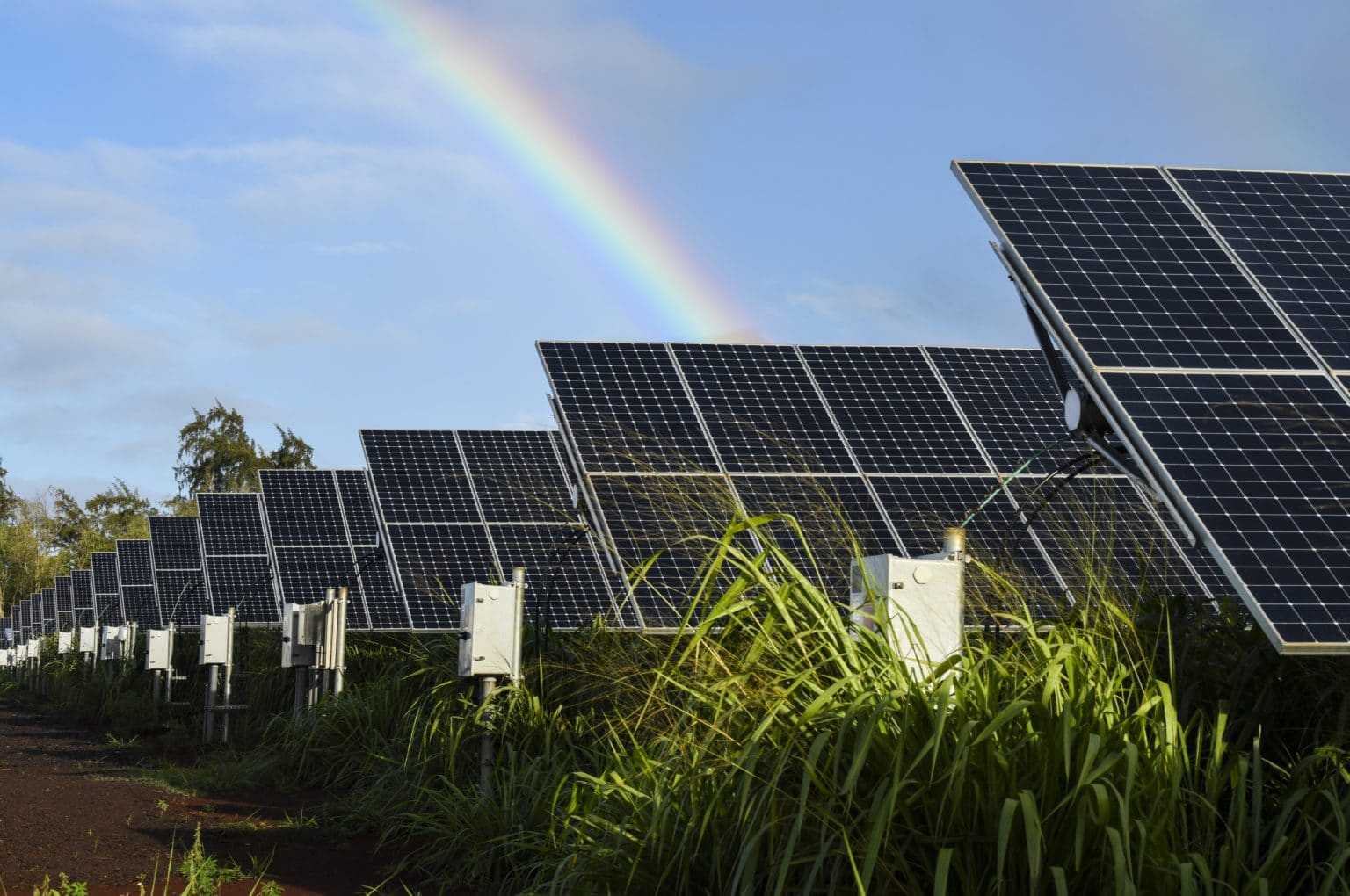 Community solar giants Perch Energy, Arcadia announce merger – pv ...