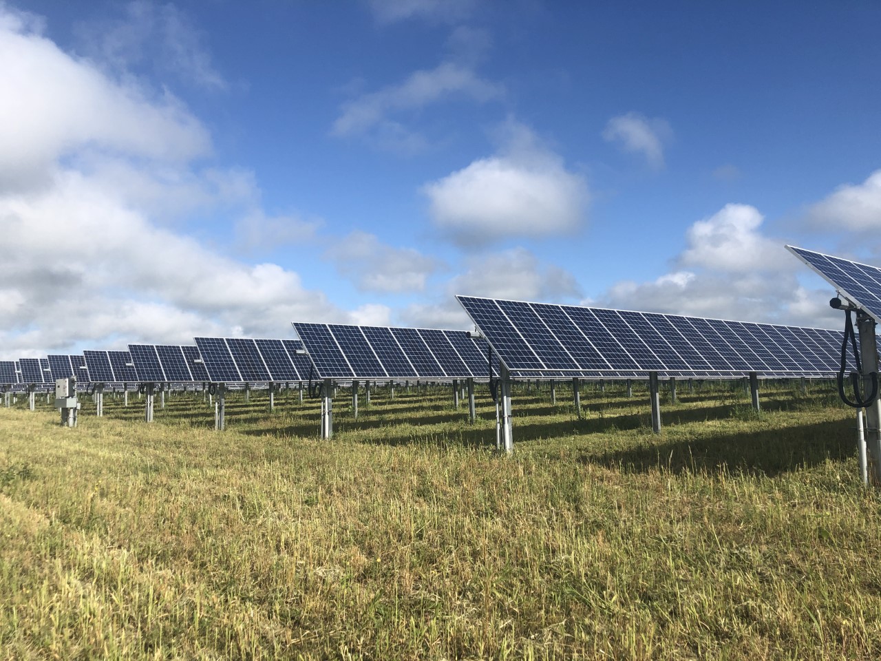Standard Solar adds 17 projects to its community solar portfolio – pv ...