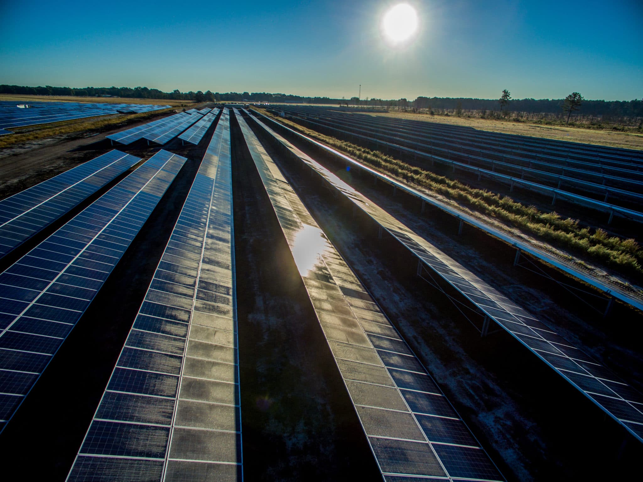 Sunrise brief: Capital Power signs solar VPPA for Budweiser brewery ...