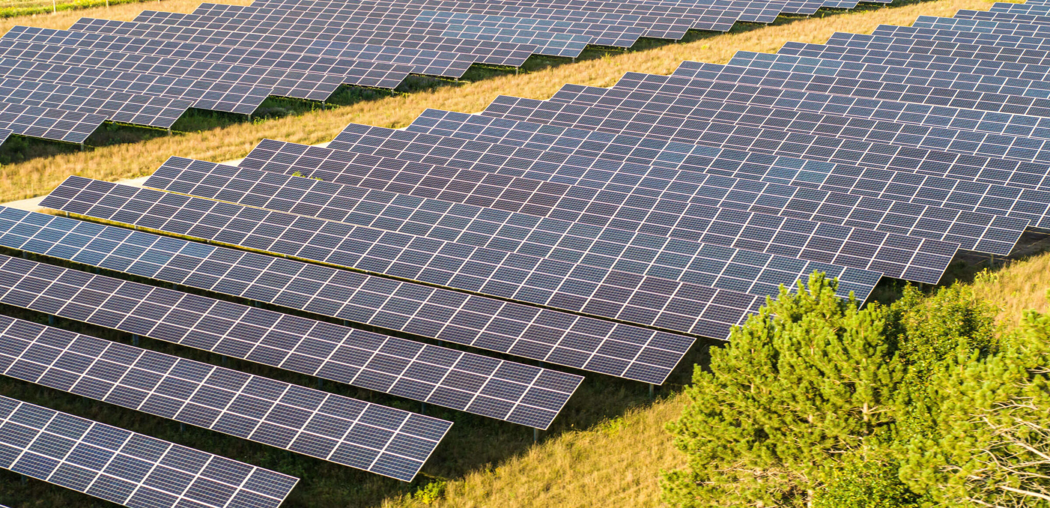 Solar Tsunami: 2022 – pv magazine USA