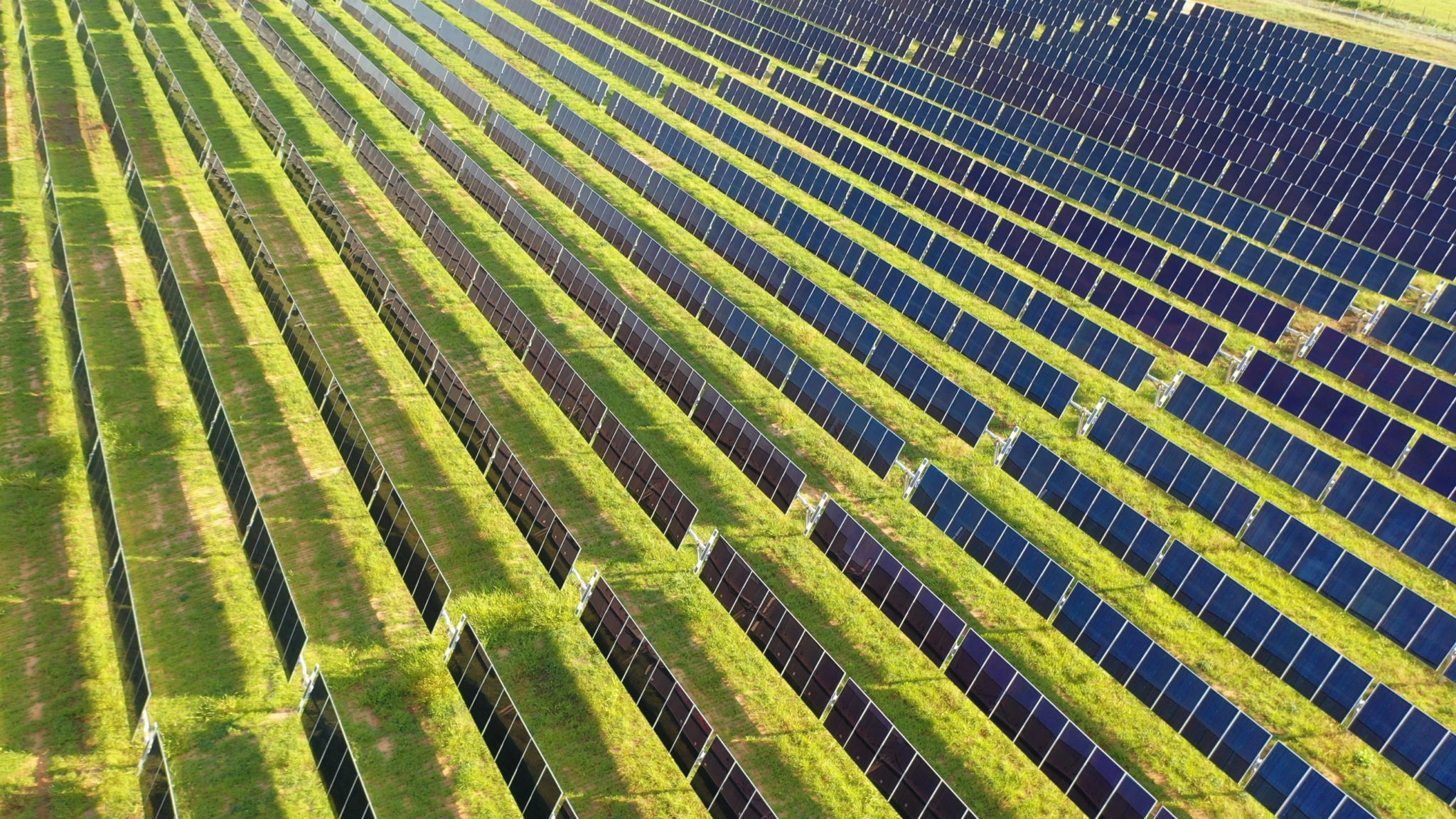 Green Power EMC, Silicon Ranch announce 252 MW Georgia solar portfolio ...