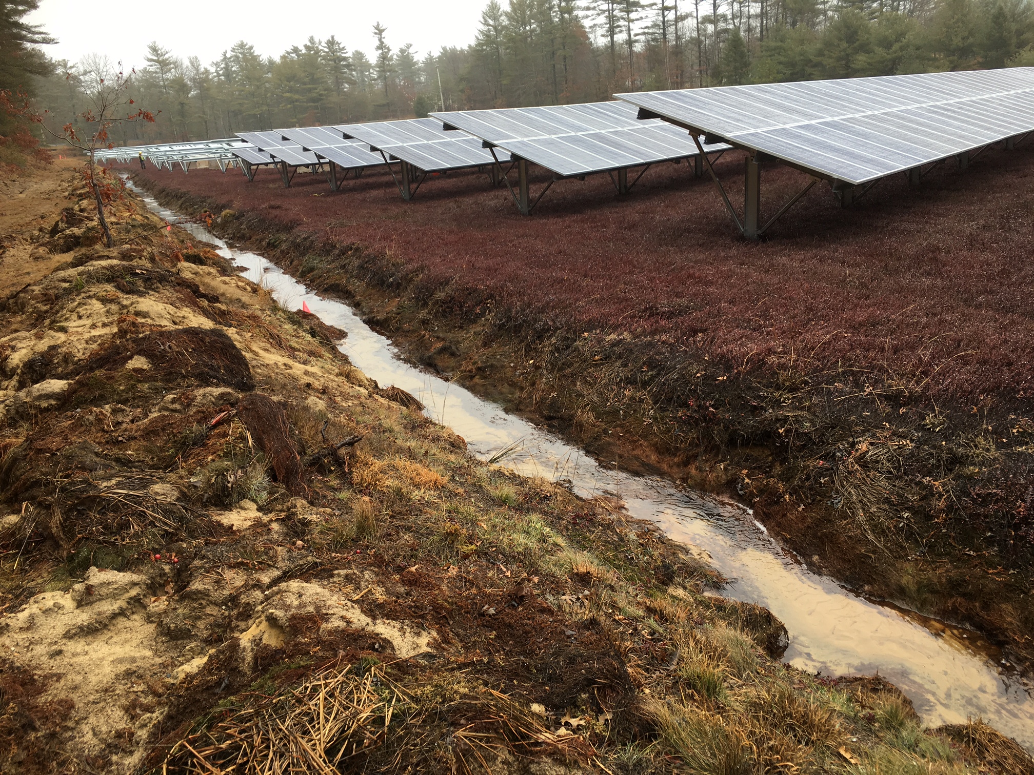 Navigating the foundation: risk vs. reward – pv magazine USA