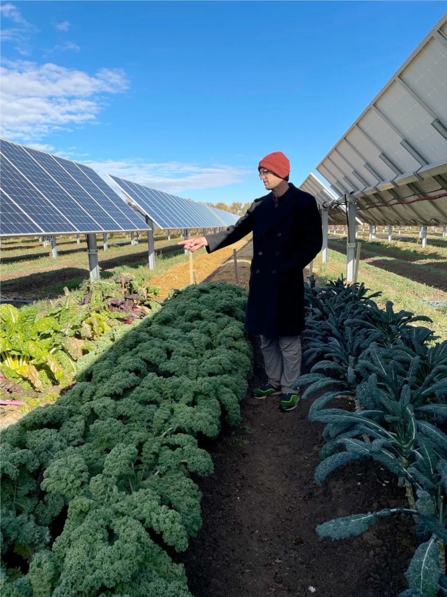 Three ways to implement solar and renewables to reduce land use – pv ...