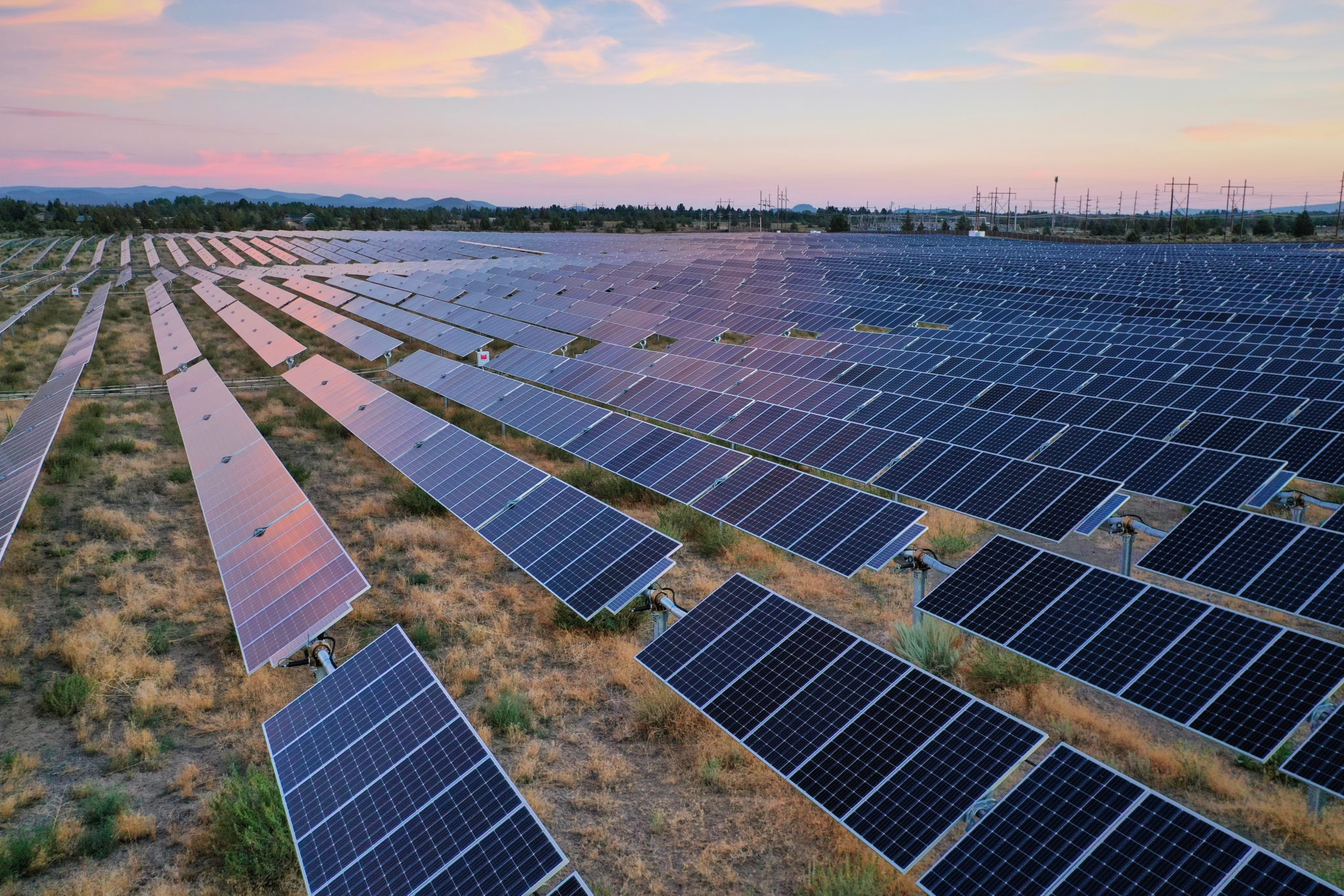 Pine Gate Renewables named as buyer of 586 MW of U.S.-made solar ...