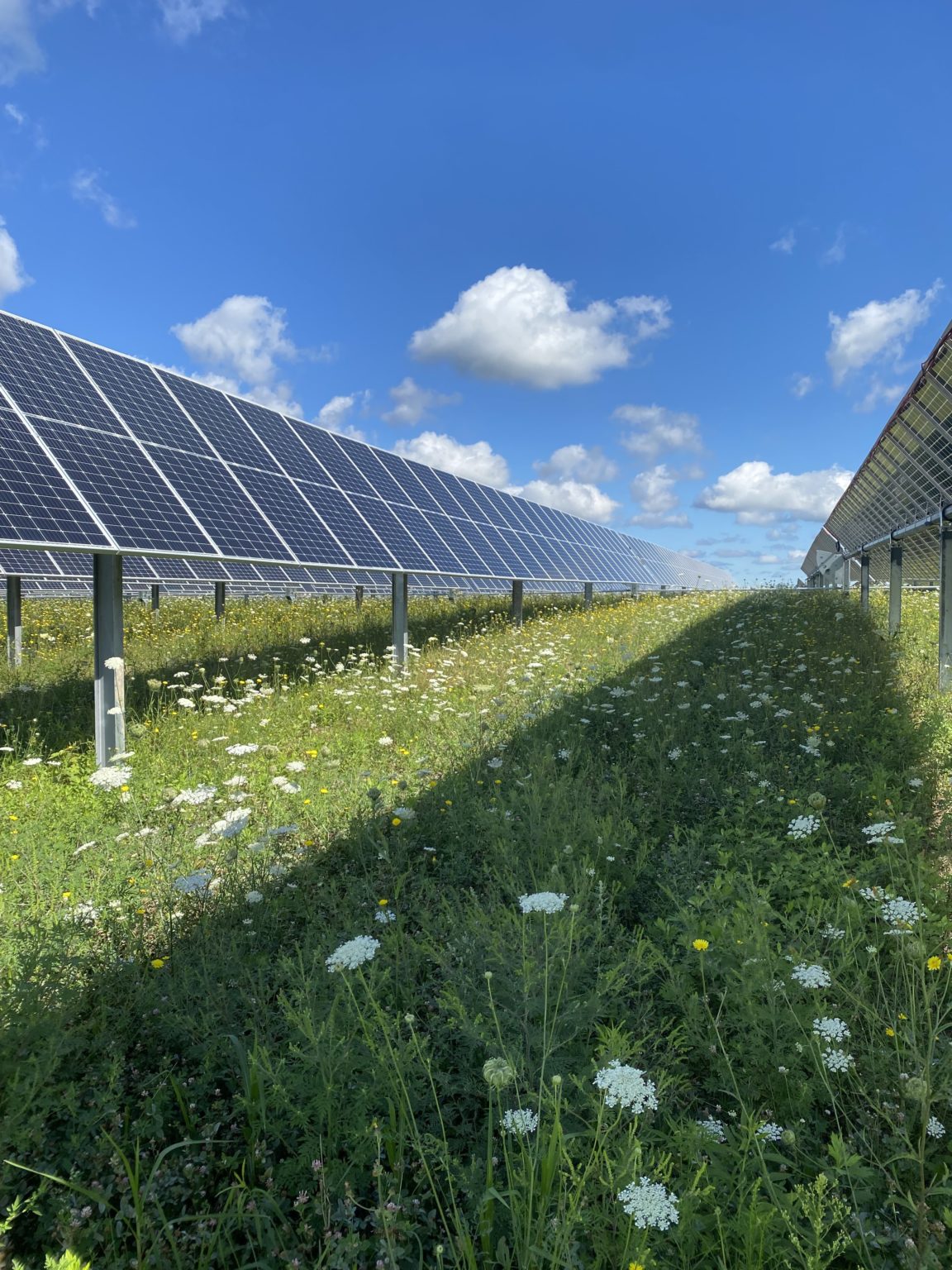 Sol Systems develops bifacial, single-axis tracking solar project with ...