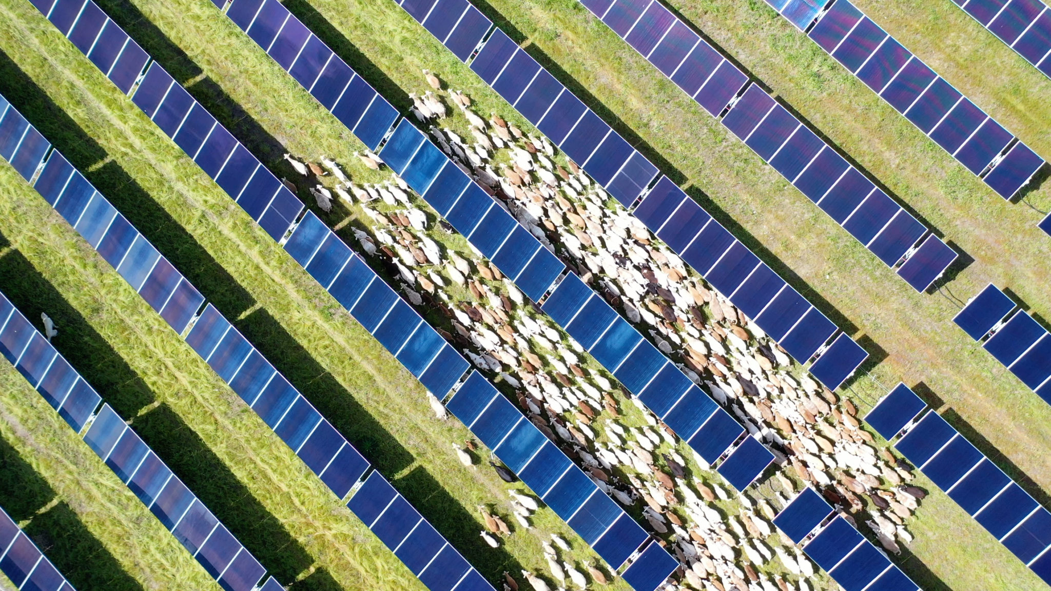 Meta procures 720 MW of solar for southeast data centers from Silicon ...