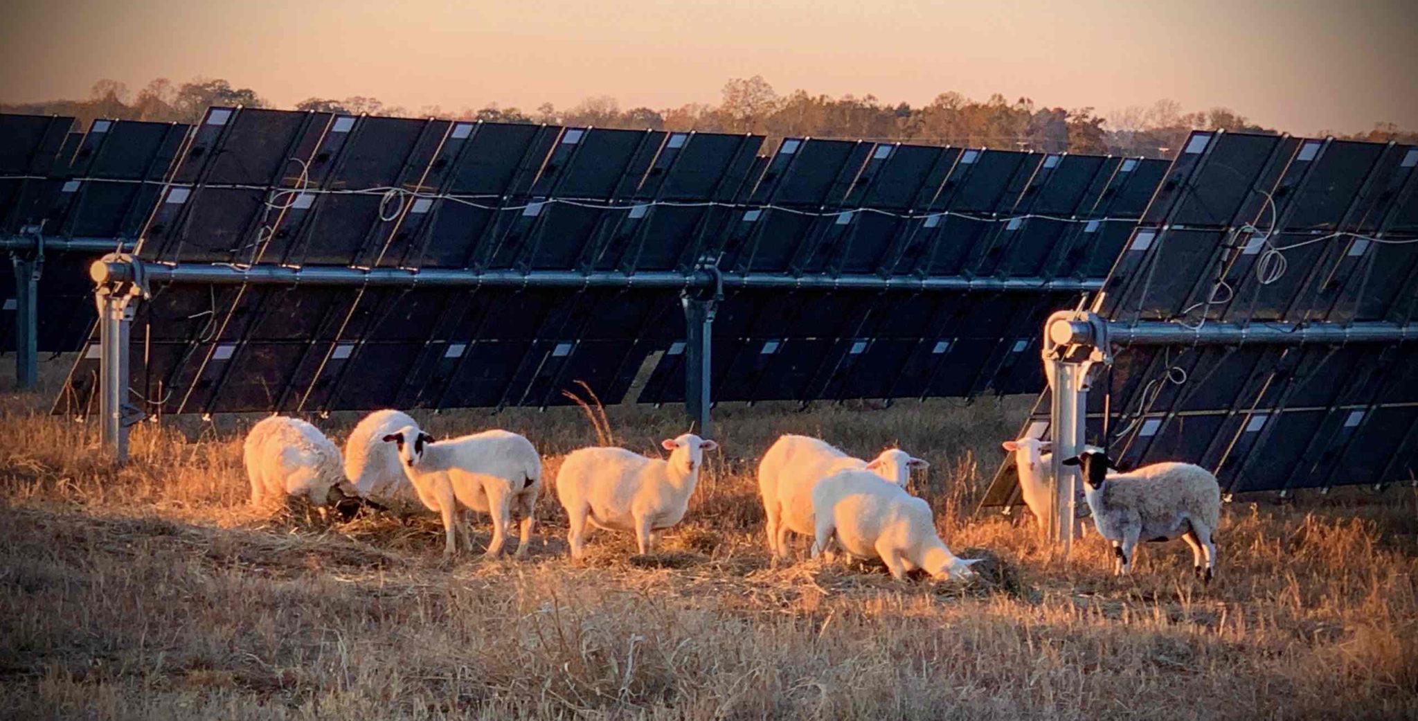 Sunrise brief: Silicon Ranch brings in $600 million of new equity ...