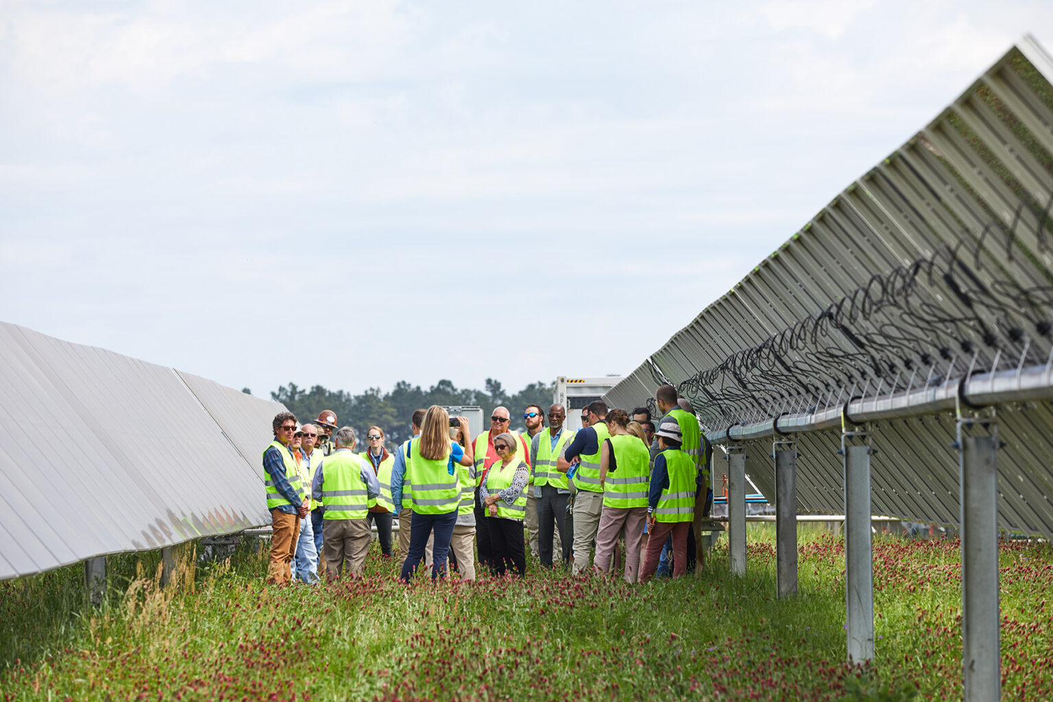 South Georgia 106 MW regenerative agrivoltaic project at White Oak ...