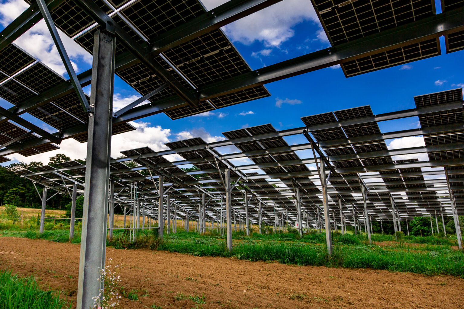 Community solar collective to deploy 500 MW of projects on farmland ...