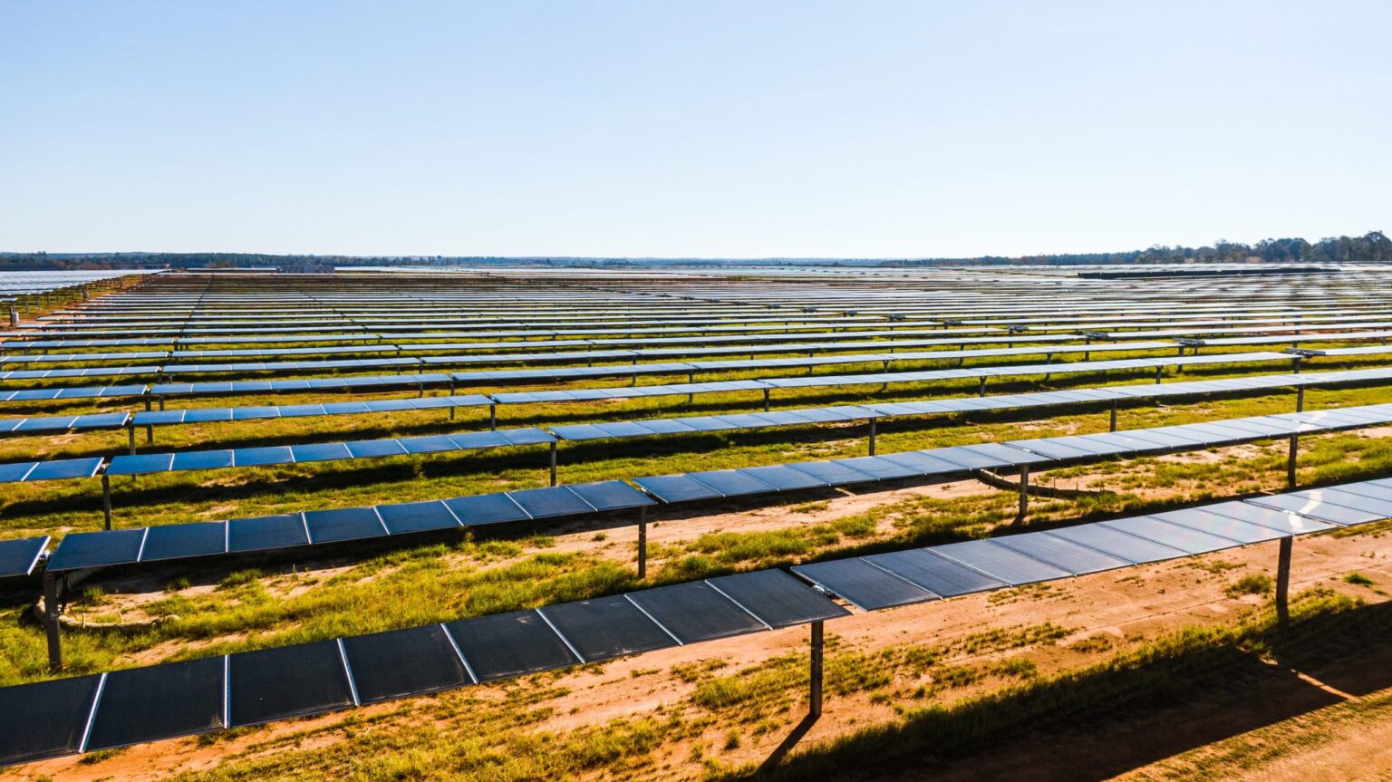 Silicon Ranch plans to appeal ruling in 100 MW solar property damage ...