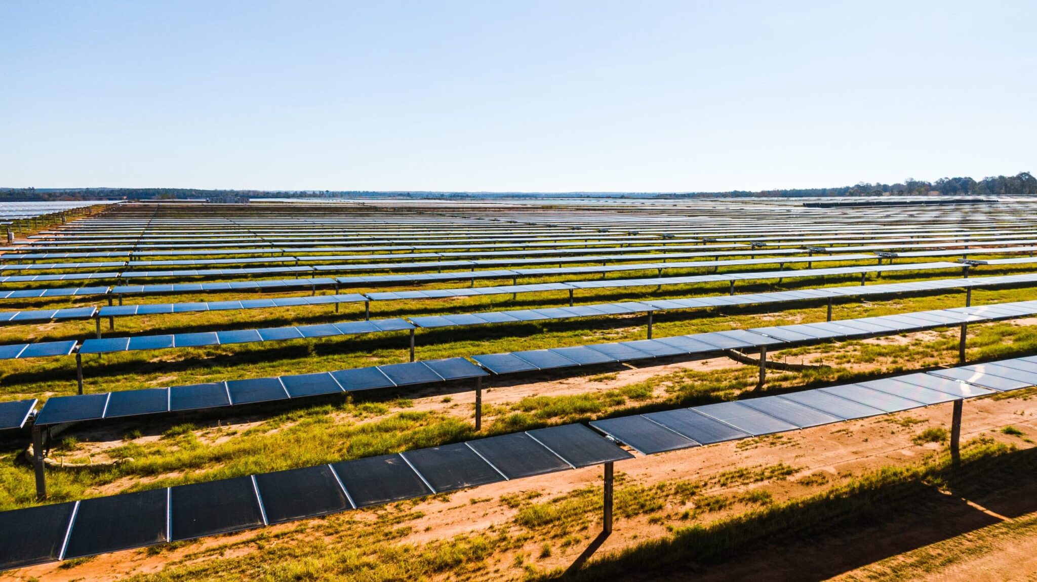 Silicon Ranch plans to appeal ruling in 100 MW solar property damage ...