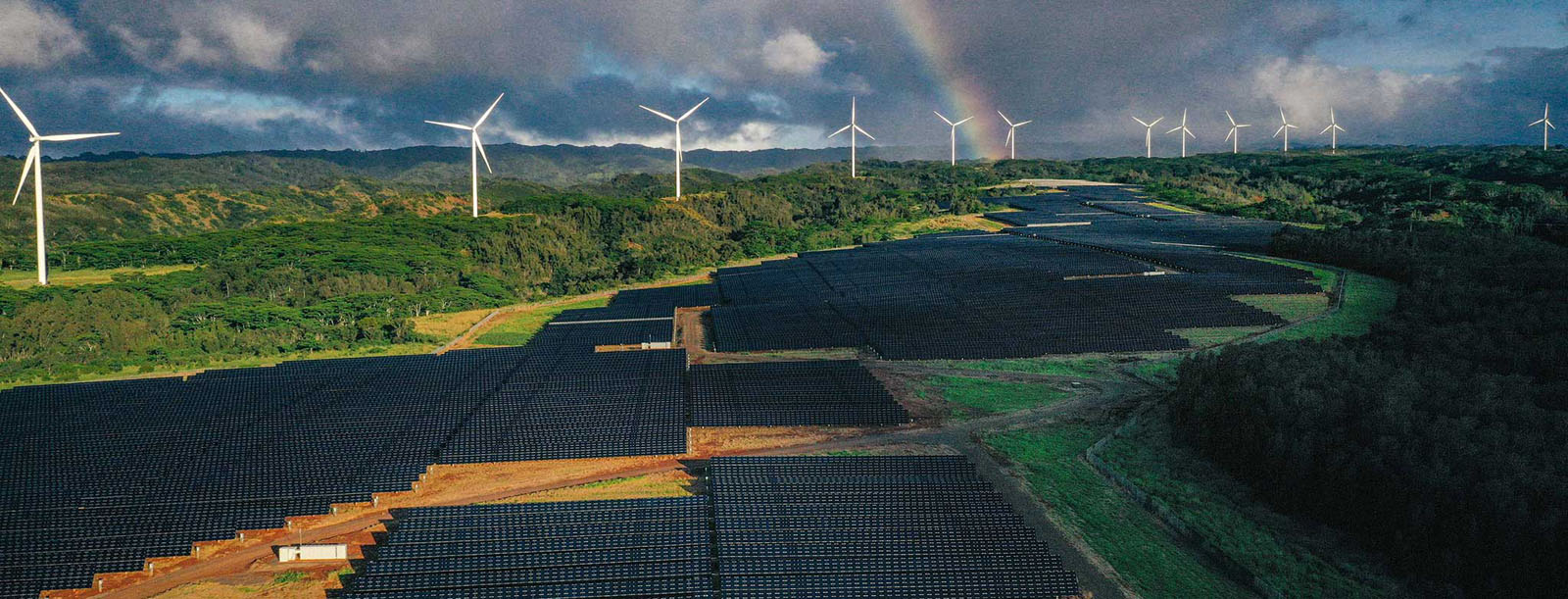 50 states of solar incentives: Hawaii – pv magazine USA