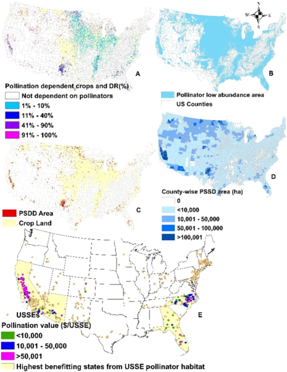 Retrofitting solar farms with pollinators could yield up to $264 ...