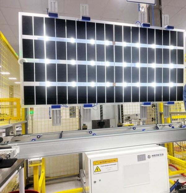 BYD unveils new agrivoltaics module – pv magazine USA