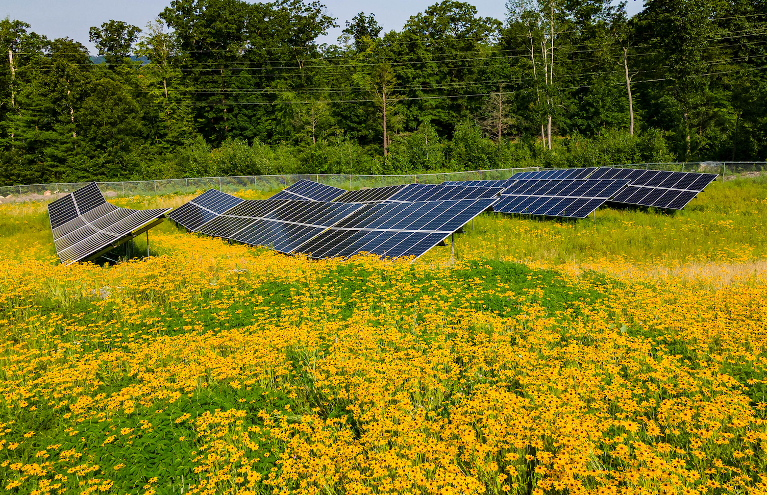 Virginia expands access to community solar – pv magazine USA