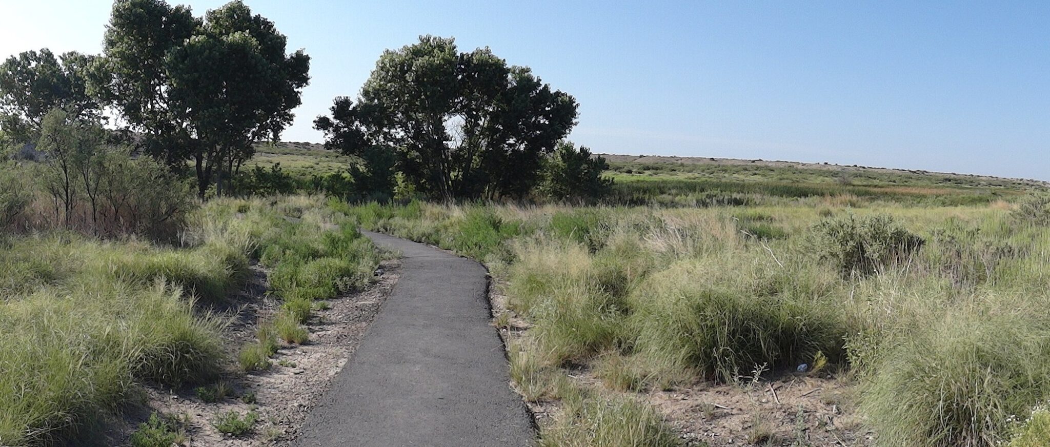 BLM seeks comment on two large-scale solar projects – pv magazine USA