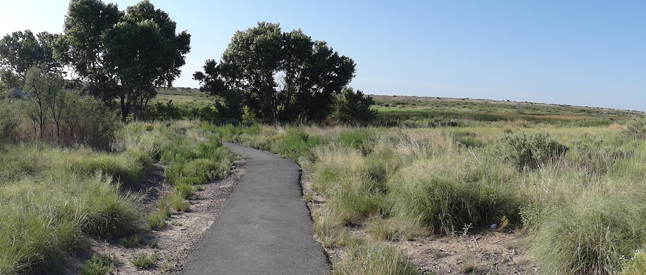 BLM seeks comment on two large-scale solar projects – pv magazine USA