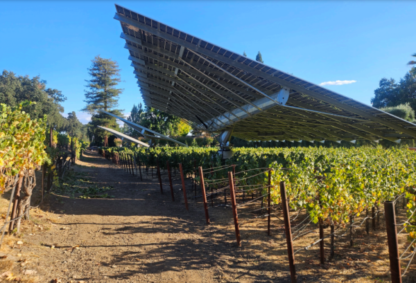 California winery installs solar with dual-axis tracking – pv magazine USA