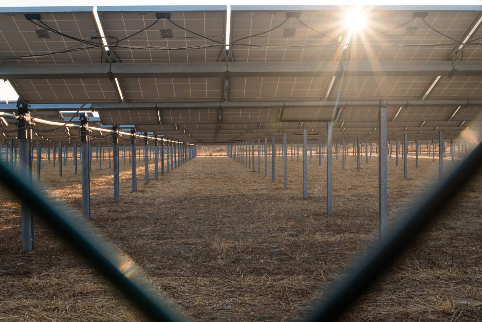 Vesper Energy unveils 600 MW Texas project – pv magazine USA