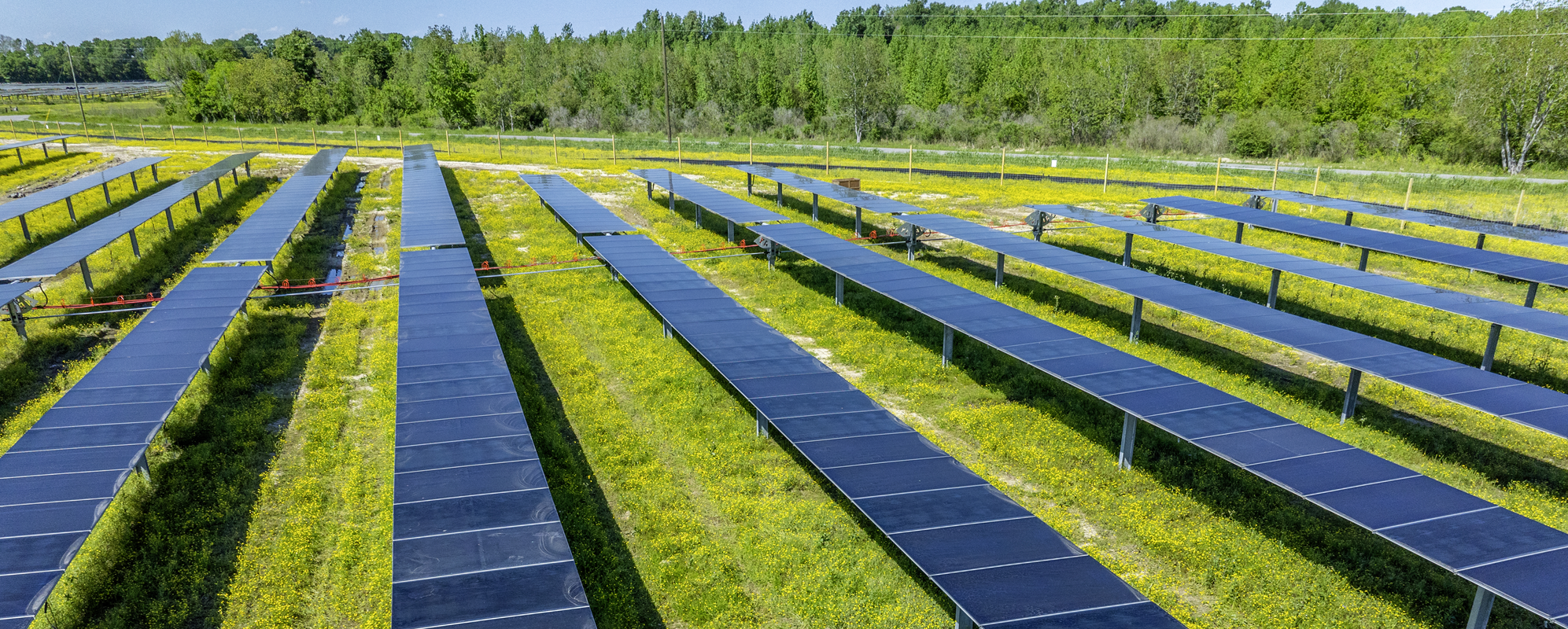 Louisiana solar project goes online with U.S.-made components – pv ...