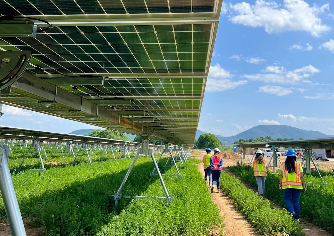 Vertical integration in solar? Harder than it looks – pv magazine USA