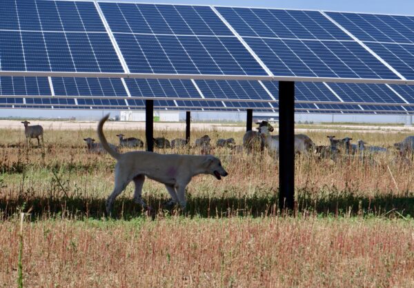 Vesper Energy – pv magazine USA